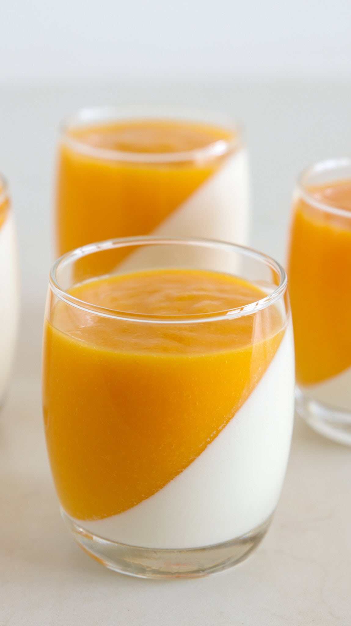 Mango Panna Cotta Recipe - The Cooking Foodie