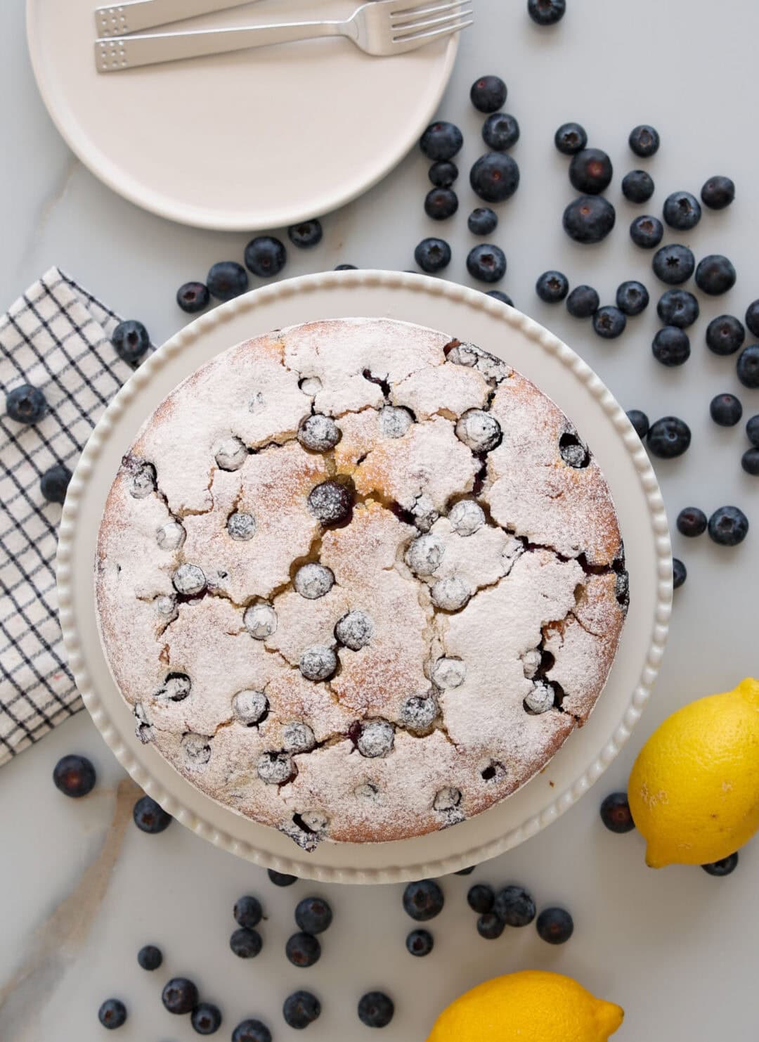 Blueberry Muffin Cake - The Cooking Foodie